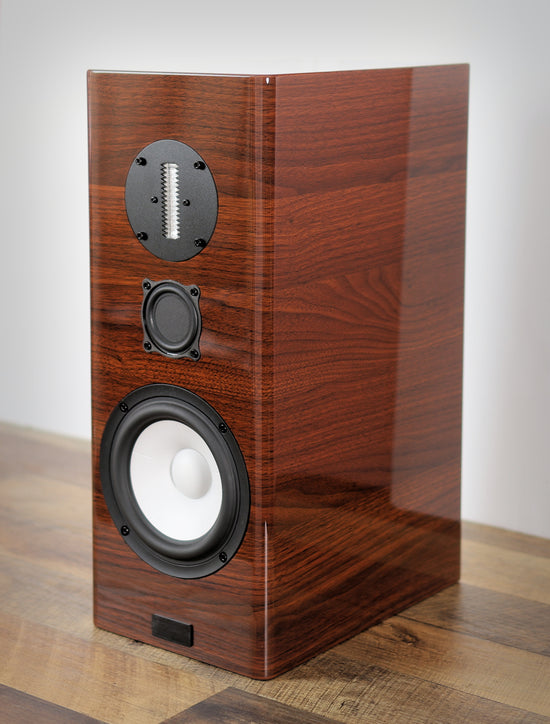 The BMR Monitor Pair