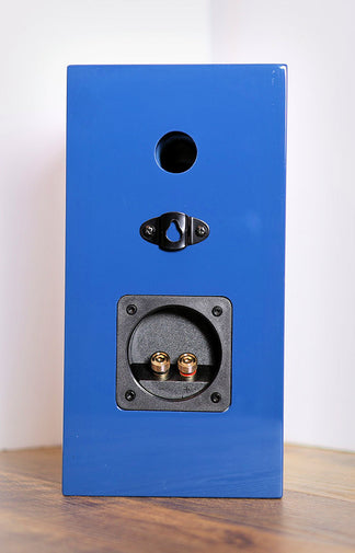 The True Mini Monitor (Price per PAIR)